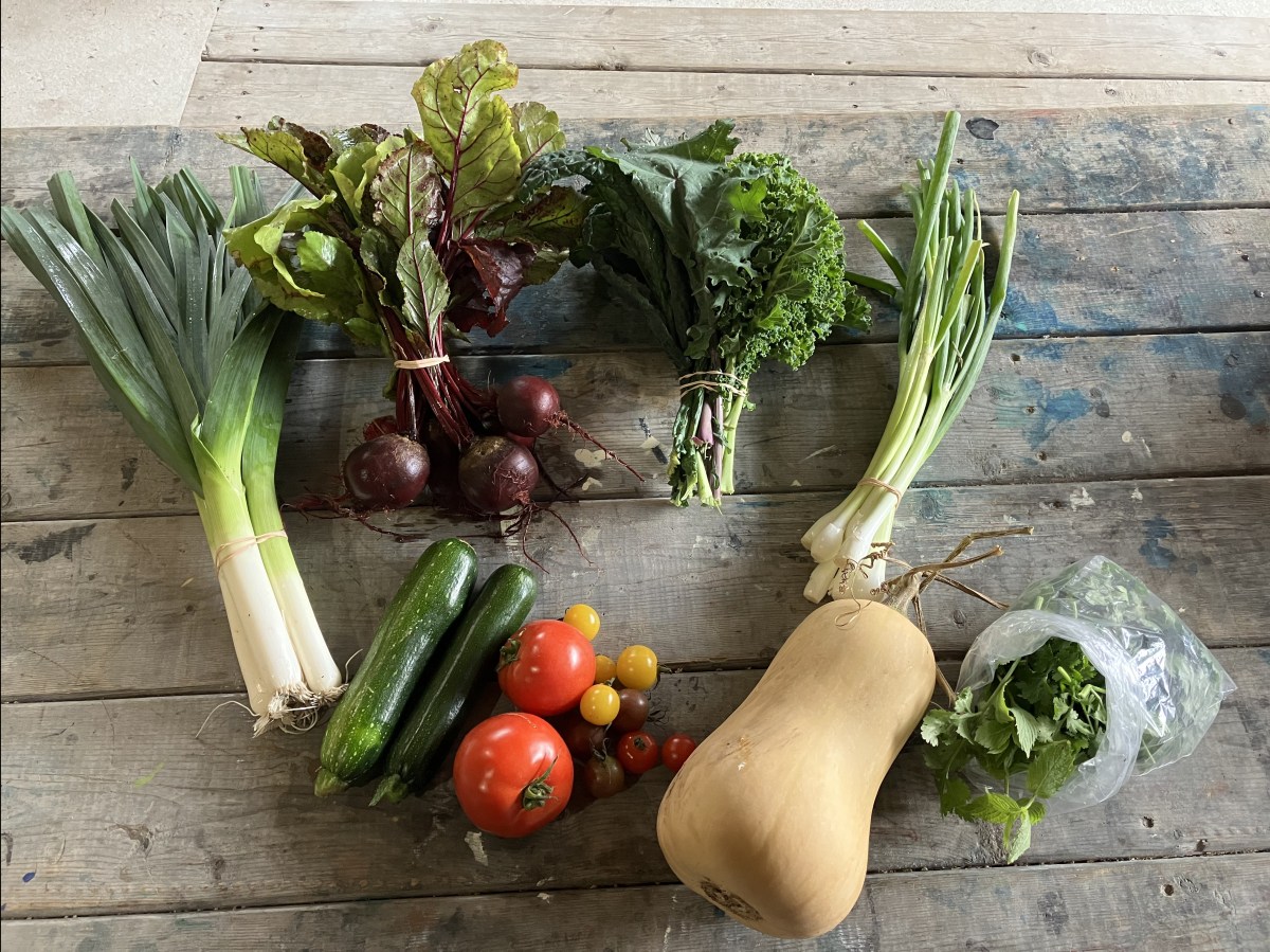 Fall vegetable box available – La petite ferme
